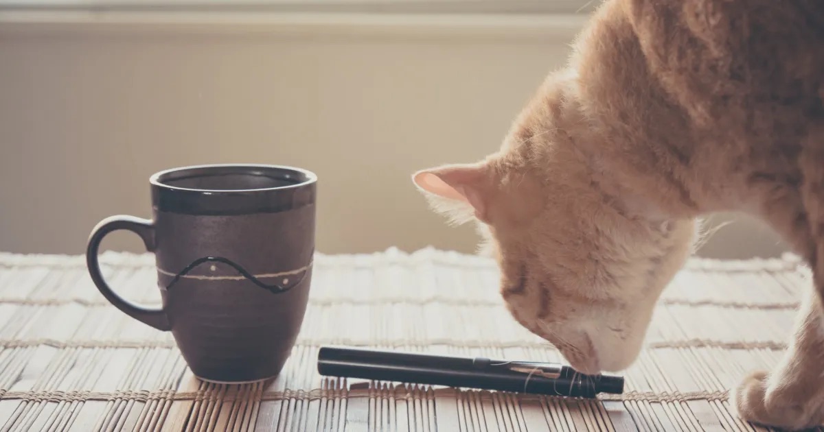 Is It Dangerous To Vape Around Pets? - Cronulla Vet Clinic