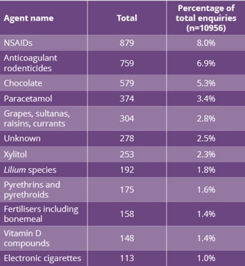 Is It Dangerous To Vape Around Pets? - Cronulla Vet Clinic