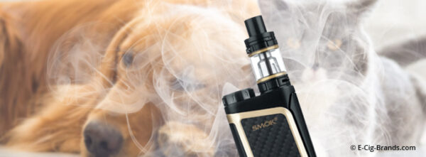 Is It Dangerous To Vape Around Pets? - Cronulla Vet Clinic