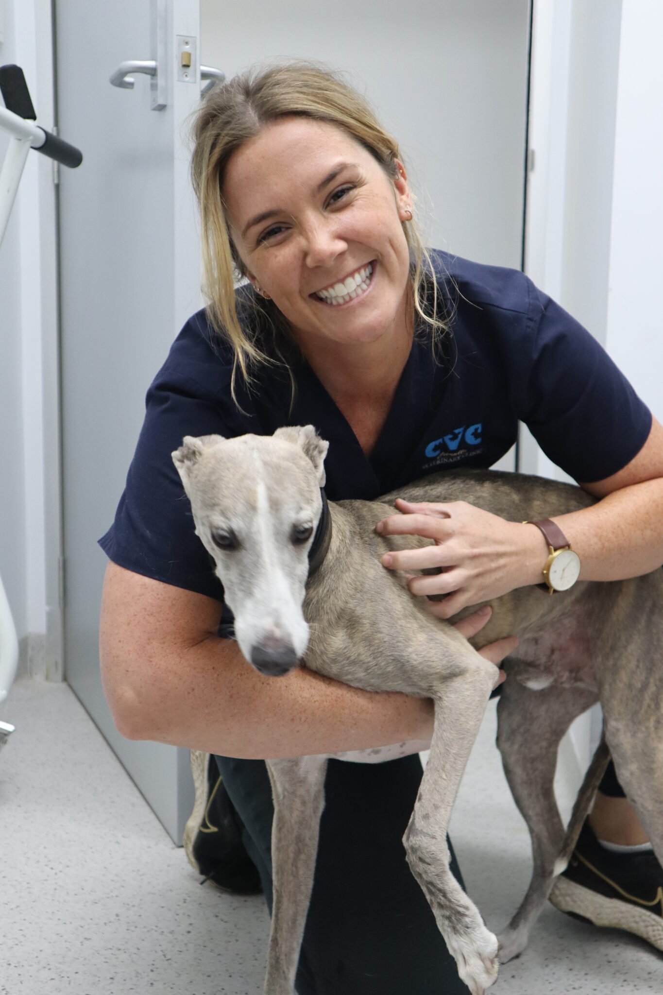 Veterinarian, Dr. Jacqueline Bell | Cronulla Vet | CVC